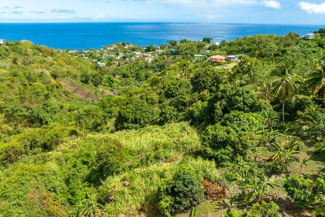 Residential Lot for Sale at Mt. Moritz, St.George, Grenada | Century 21®
