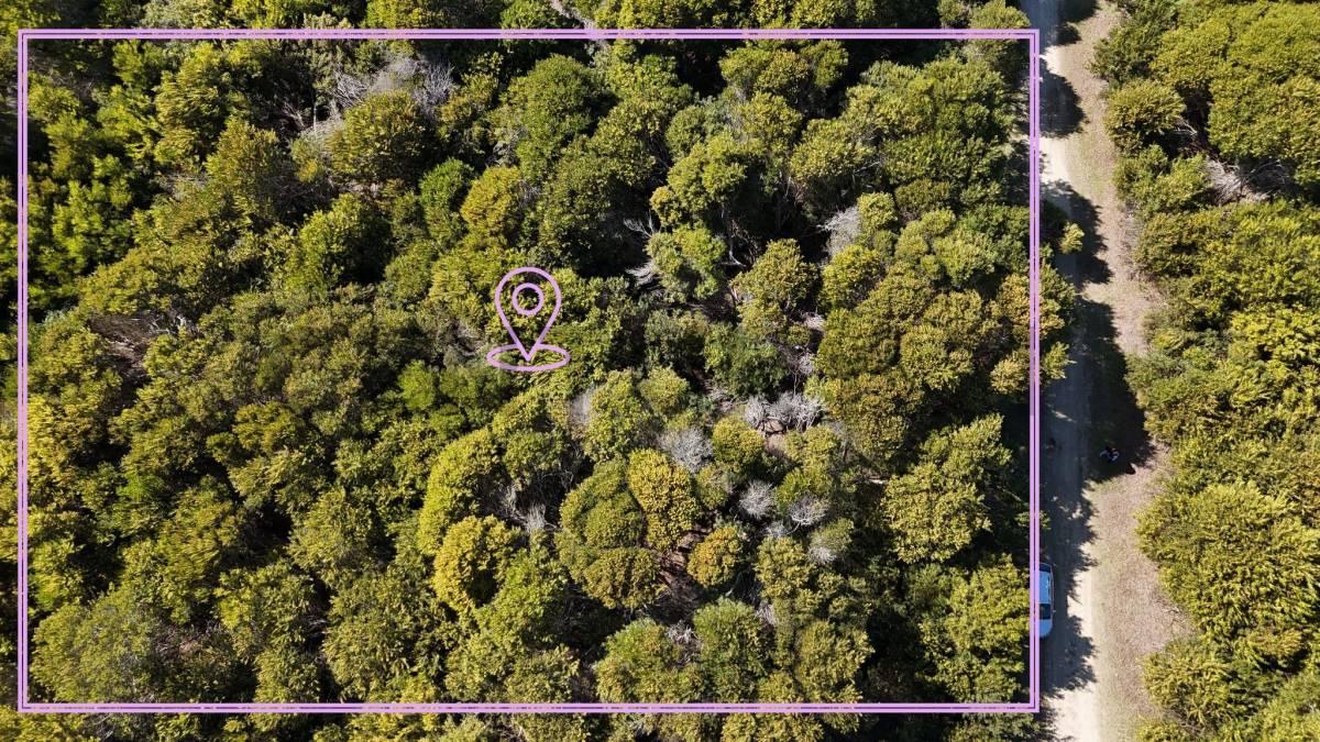 Land for Sale at Punta Medanos lote E14 lote E14, Punta Médanos, Buenos ...